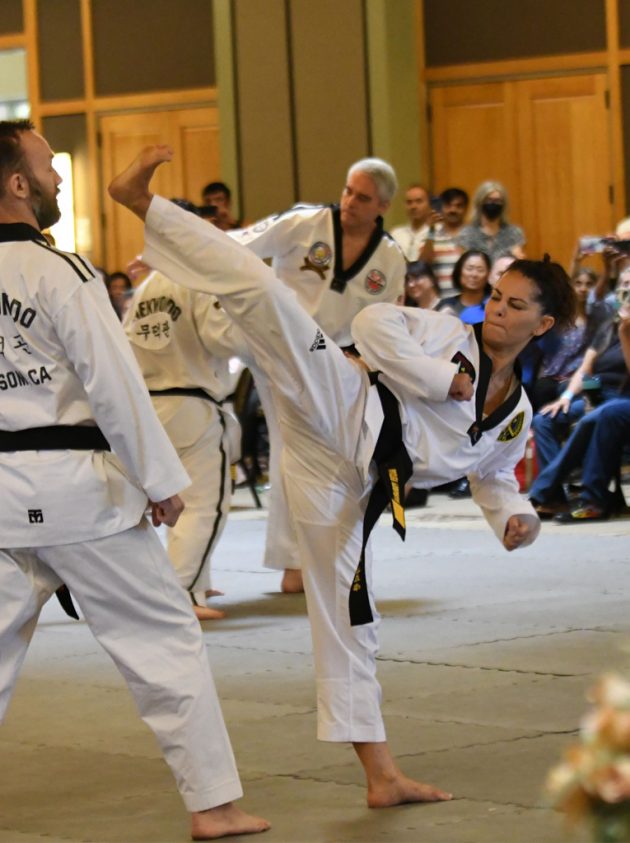 Master Amitis Pourarian